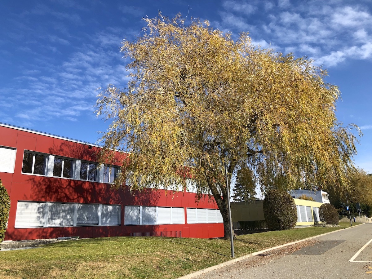 Ecole primaire de Cormanon